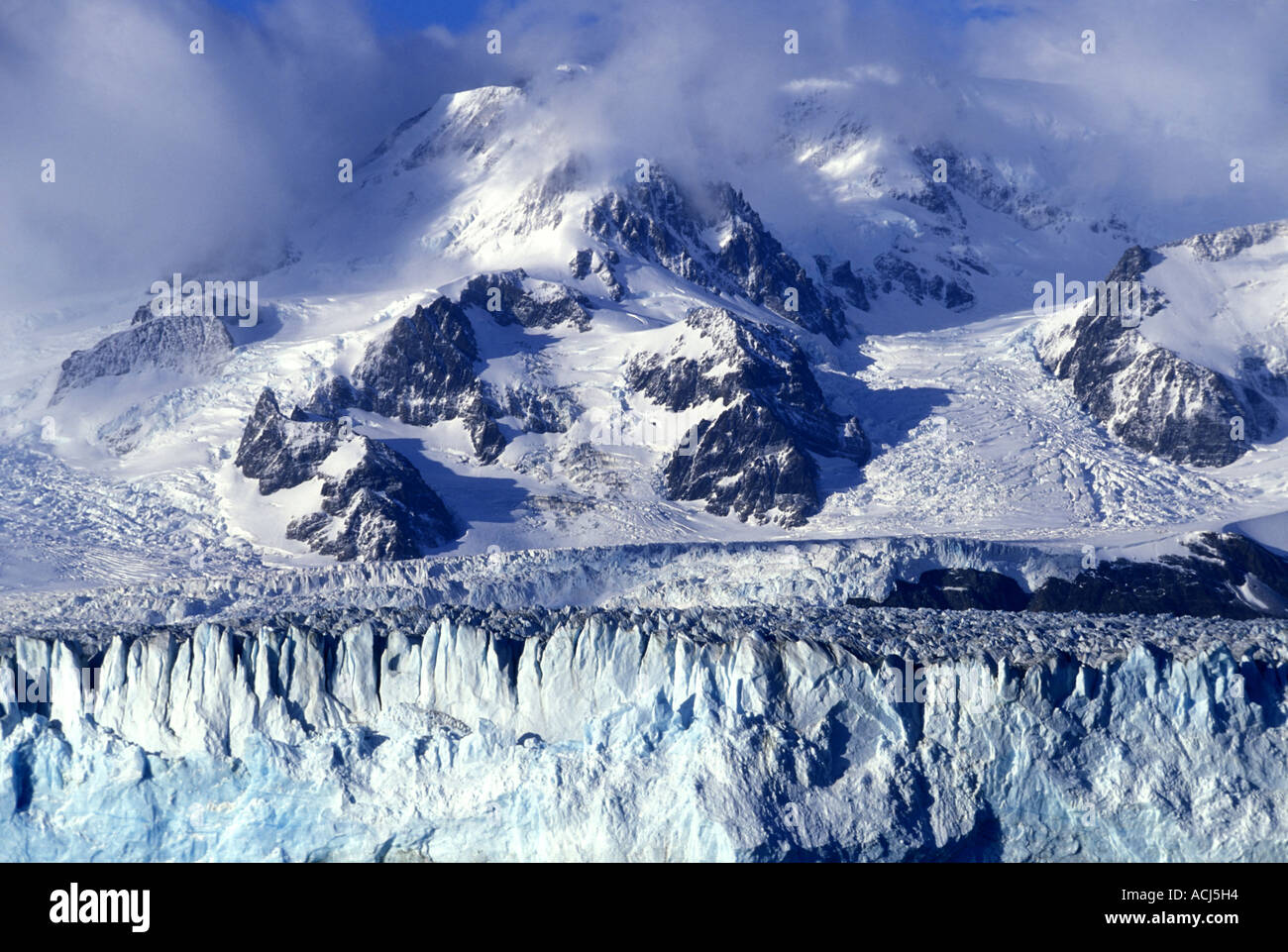 South Georgia Island Morning sun lights blue ice face of Nordenskjold ...