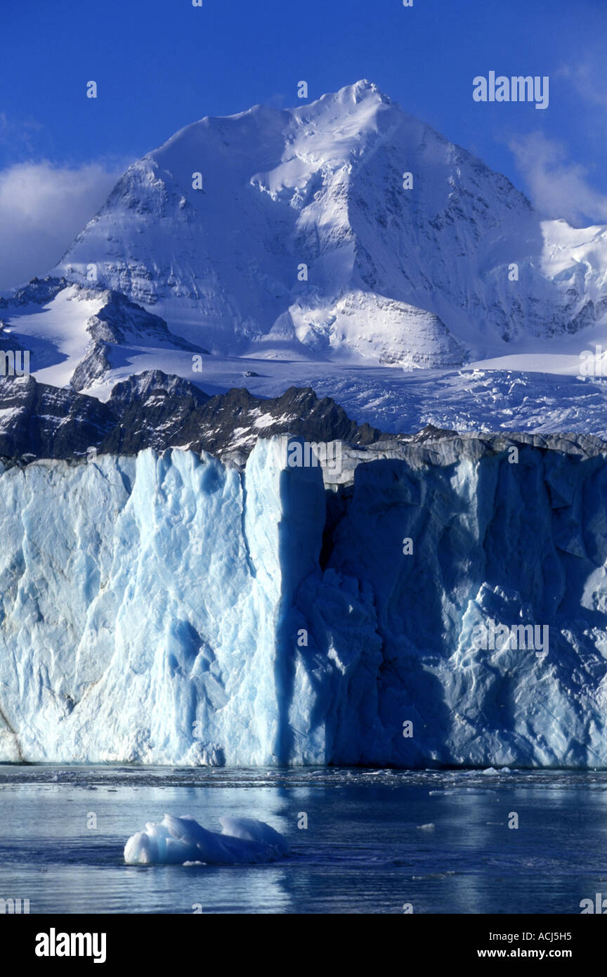 South Georgia Island Morning sun lights blue ice face of Nordenskjold ...