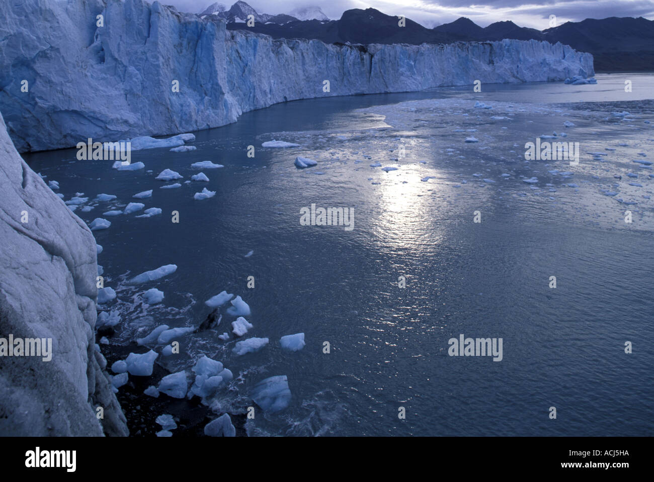 South Georgia Island Blue ice face of Nordenskjold Glacier along ...