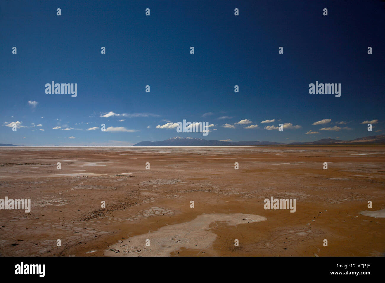 flat desert plains, Patagonia, Argentina Stock Photo - Alamy