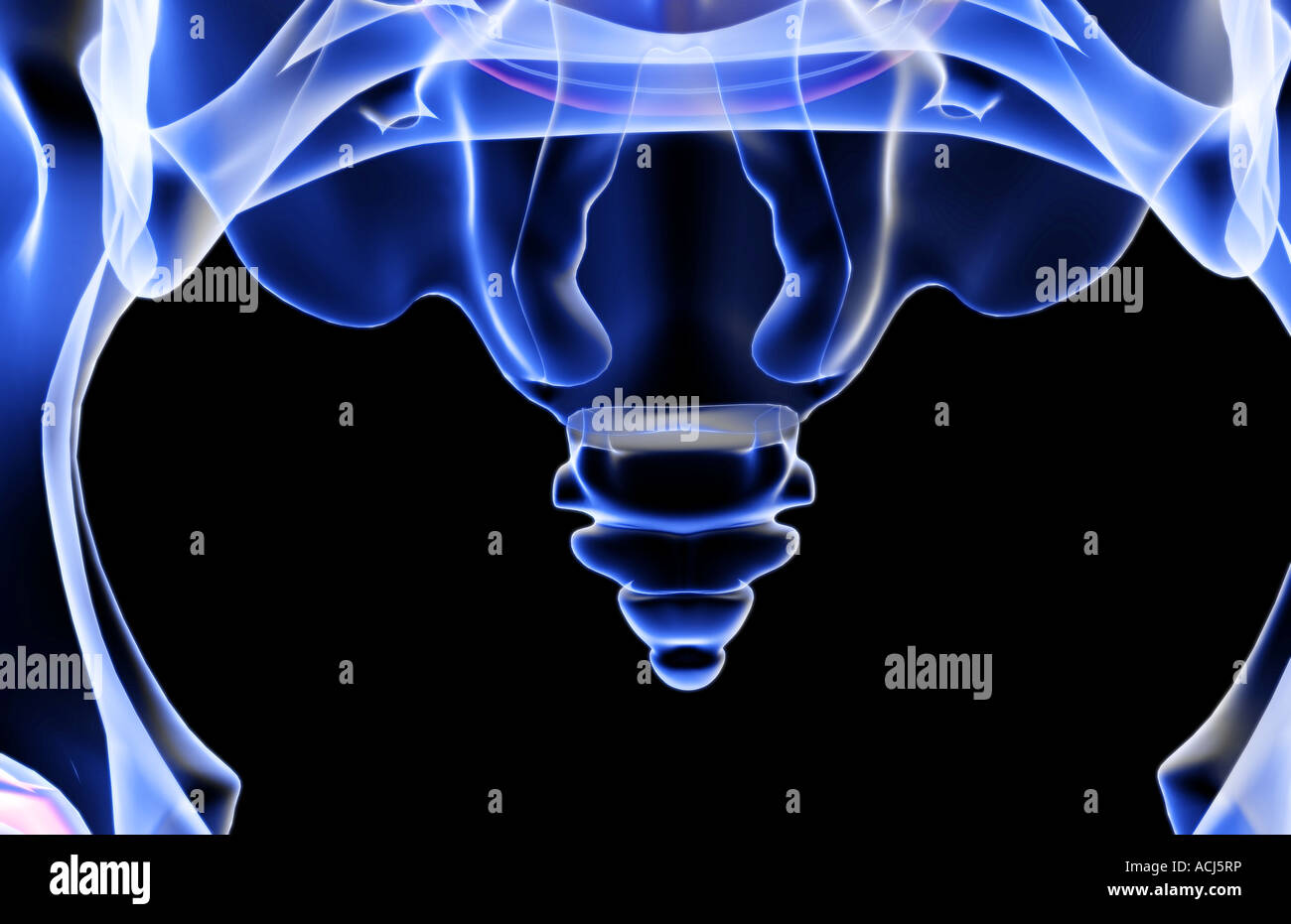 X Ray Tail High Resolution Stock Photography and Images - Alamy