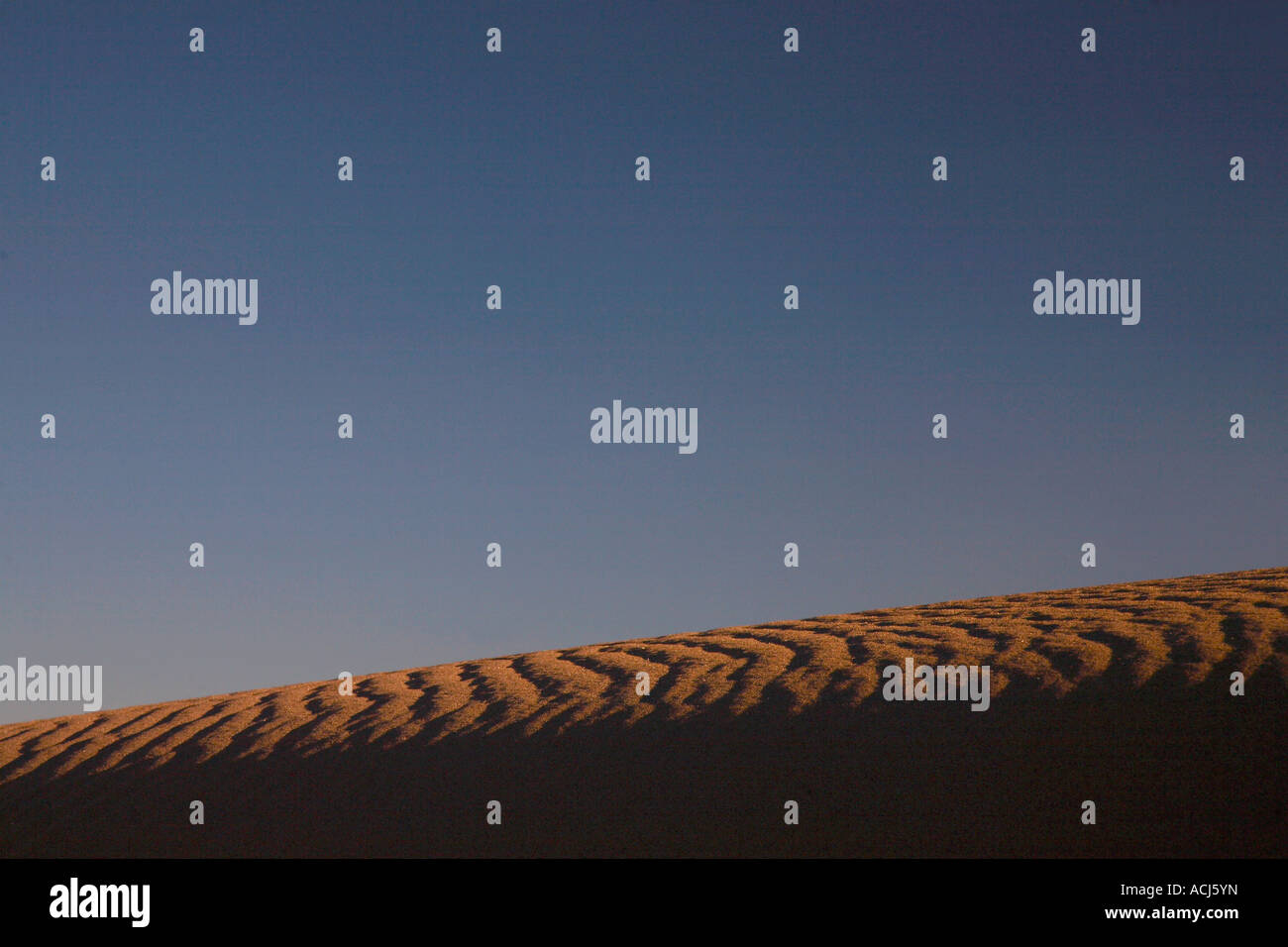 ripples in sand dune, Atacama desert, Chile Stock Photo - Alamy