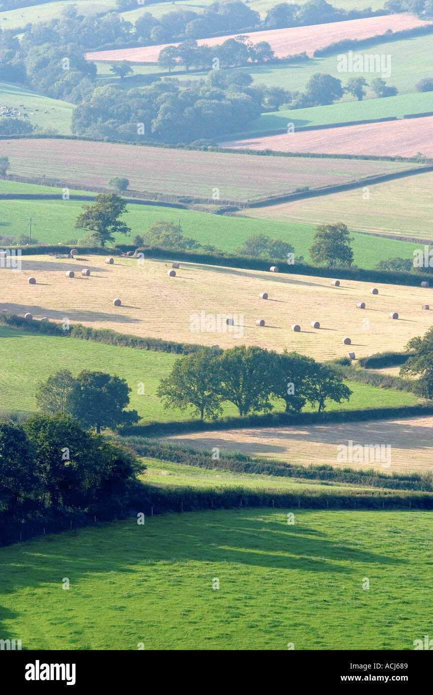 Devon Landscape Farm Bales High Resolution Stock Photography and Images ...