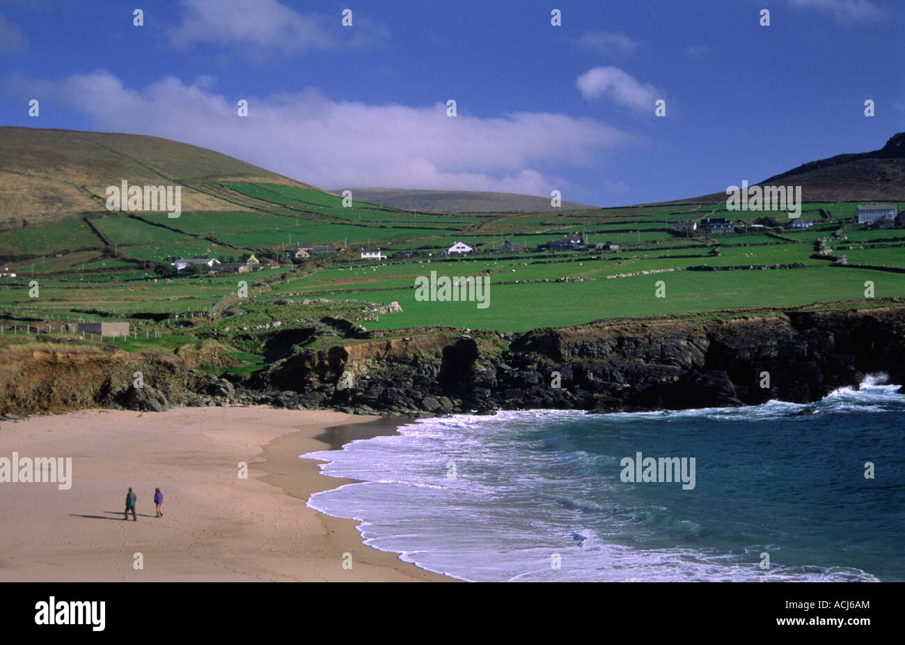 People walking on Clogher Beach, beneath patchwork green fields. Dingle ...