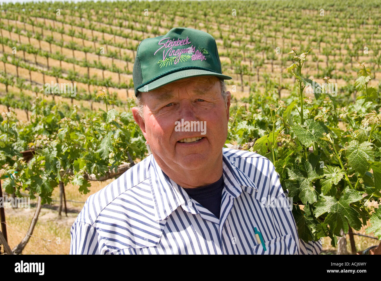 Tour of cabernet grape field at Eberle Winery in Paso Robles ...