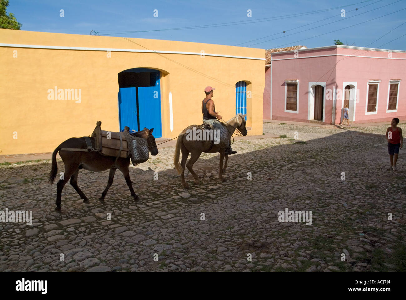 Man riding two donkeys in a paved street of Trinidad Cuba Stock Photo ...