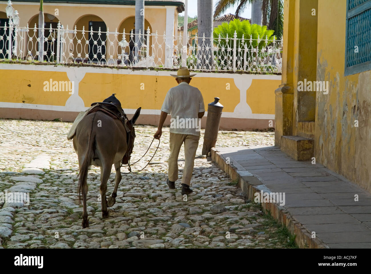Man walking donkey hi-res stock photography and images - Alamy