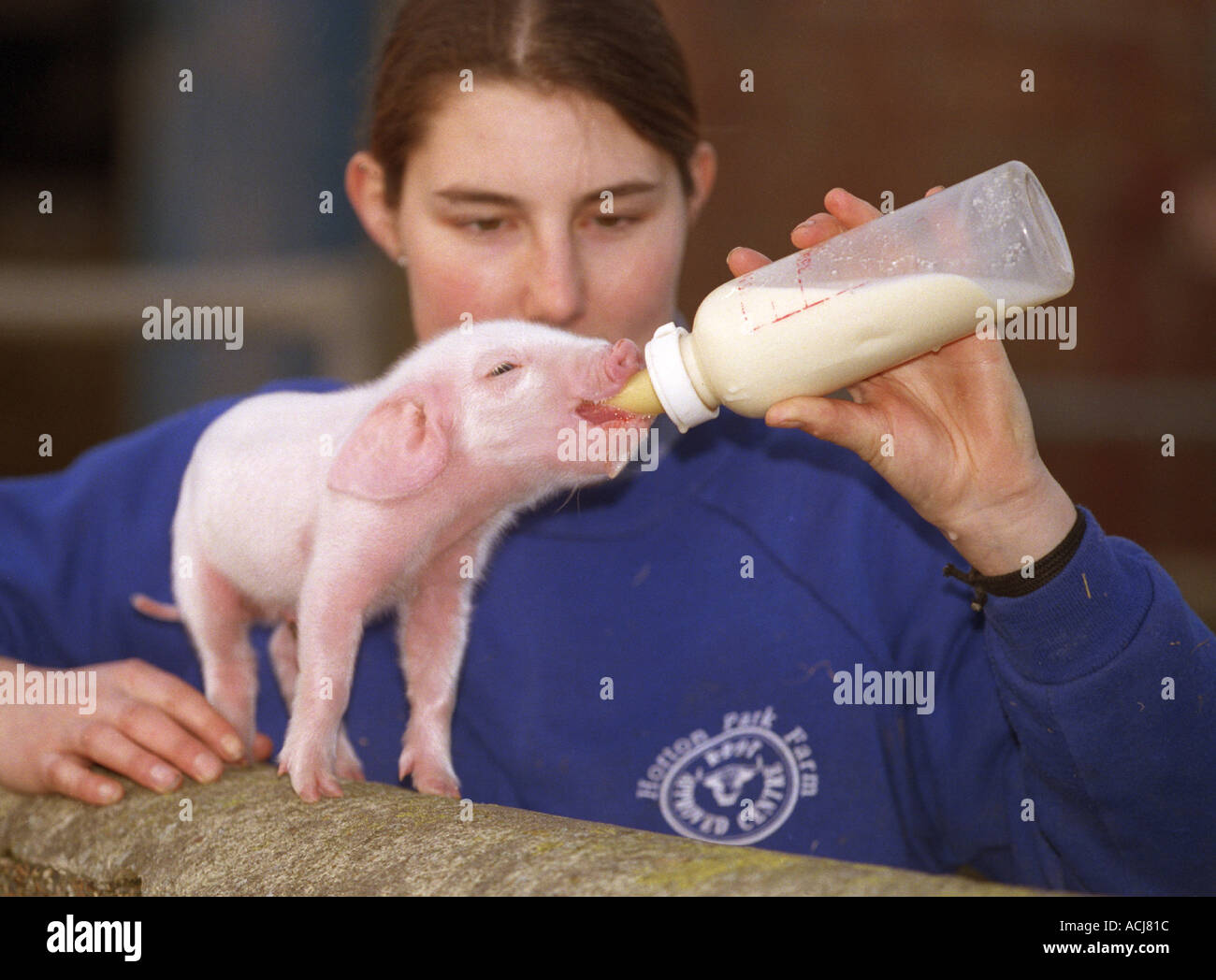 Farm epsom hi-res stock photography and images - Alamy
