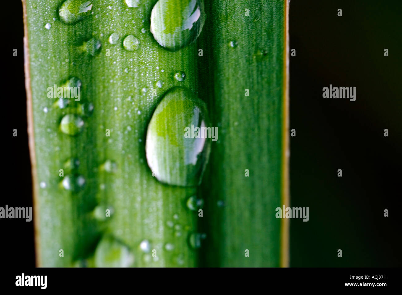 Earth blade hi-res stock photography and images - Alamy