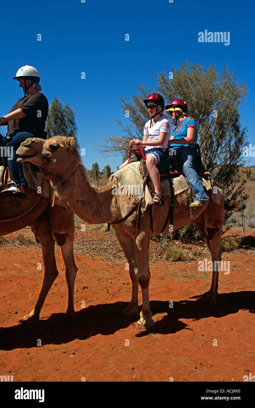 Camel train, riders, Kata Tjuta National Park, Northern Territory ...