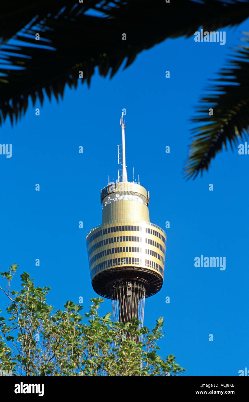Westfield AMP Centrepoint Tower, Sydney, New South Wales, Australia ...