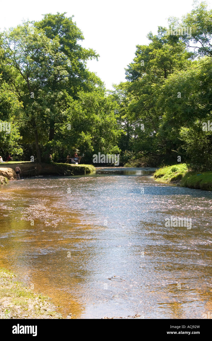 The Highland Water stream runs past Balmer Lawn Brockenhurst New Forest ...