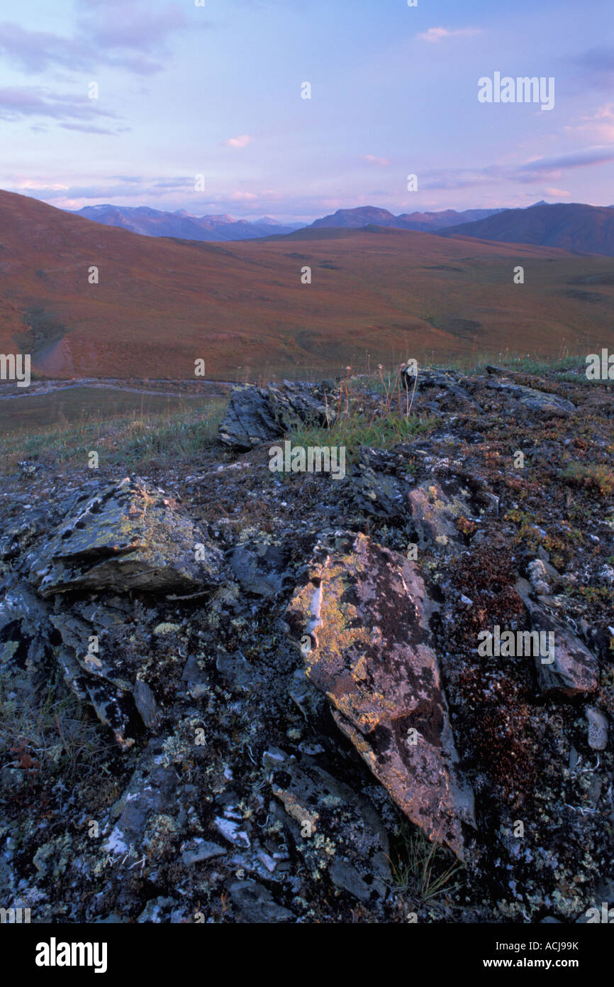 Exposed rocks on arctic tundra, Brooks Range Mountains, Alaska Stock ...