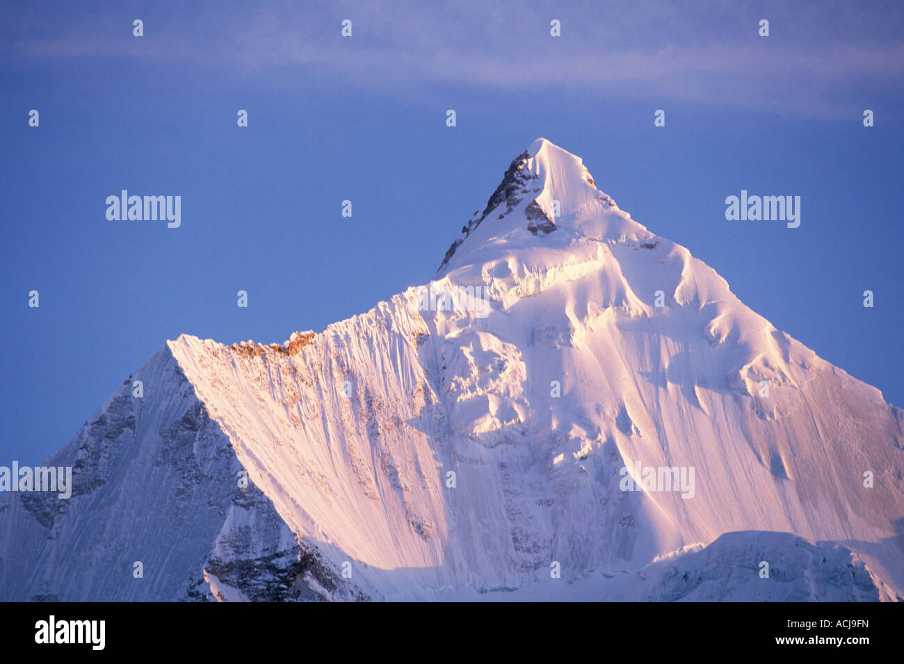 Jichu Drake, Kingdom of Bhutan Stock Photo - Alamy