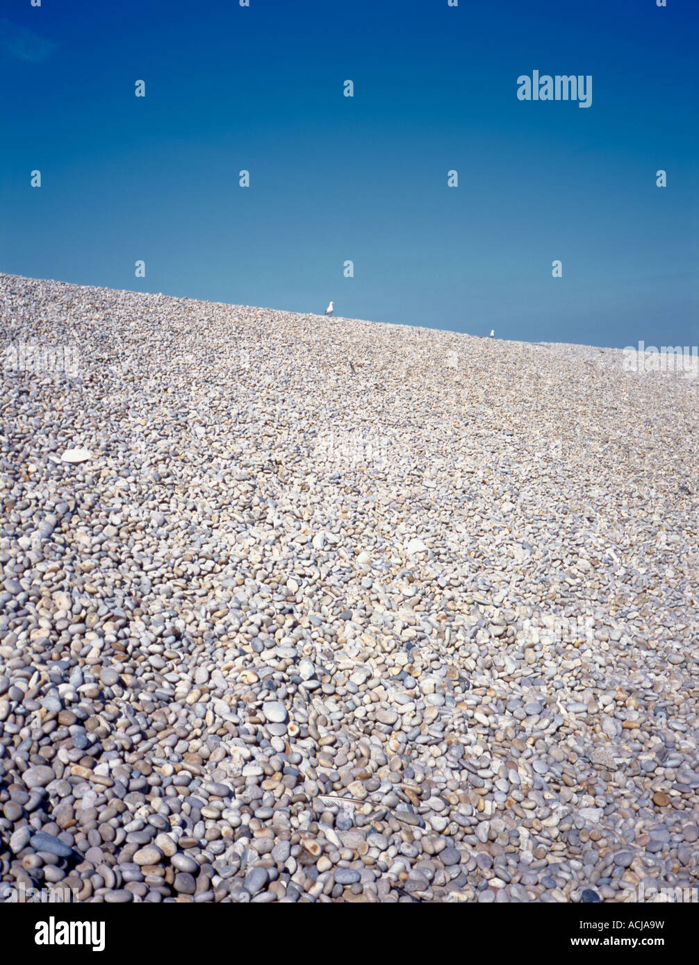 Grading the beach hi-res stock photography and images - Alamy