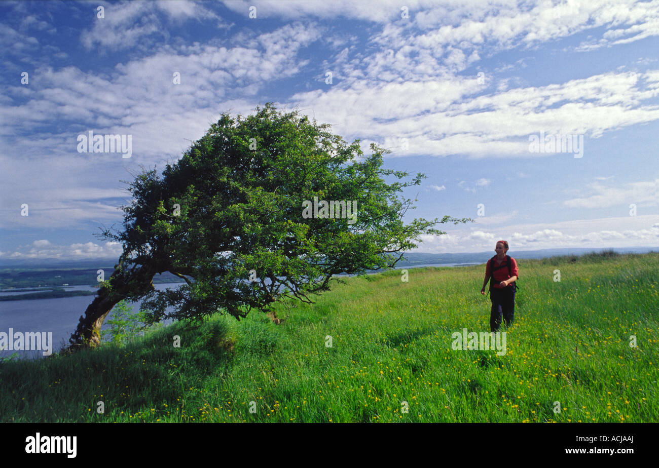 Walker above Lough Erne on the Cliffs of Magho. Lough Navar Forest Park ...