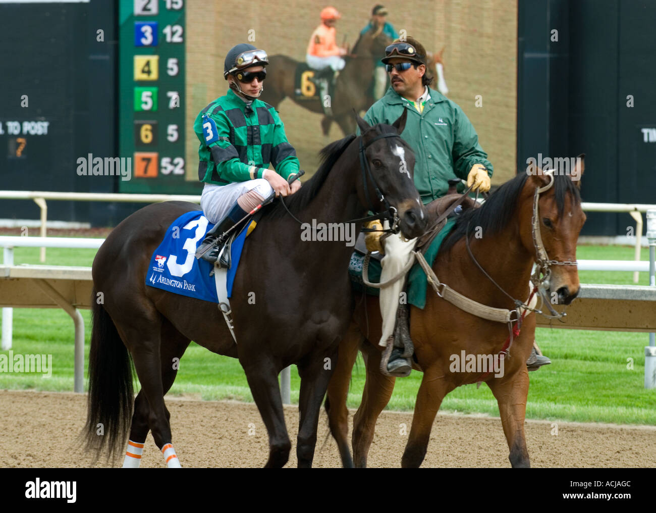 Thoroughbred horses at starting gate hi-res stock photography and ...