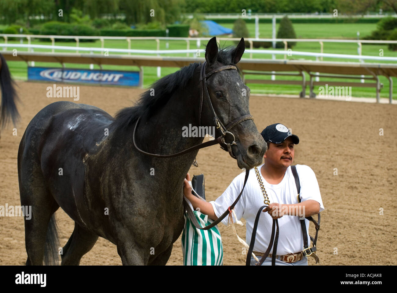 Exhausted horses hi-res stock photography and images - Alamy