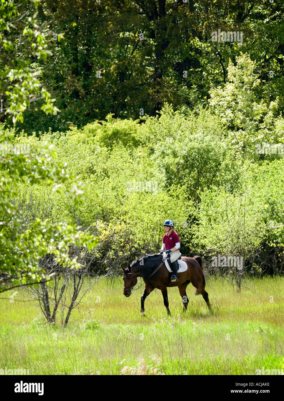 Young Girl Horseback Riding Stock Photo - Alamy