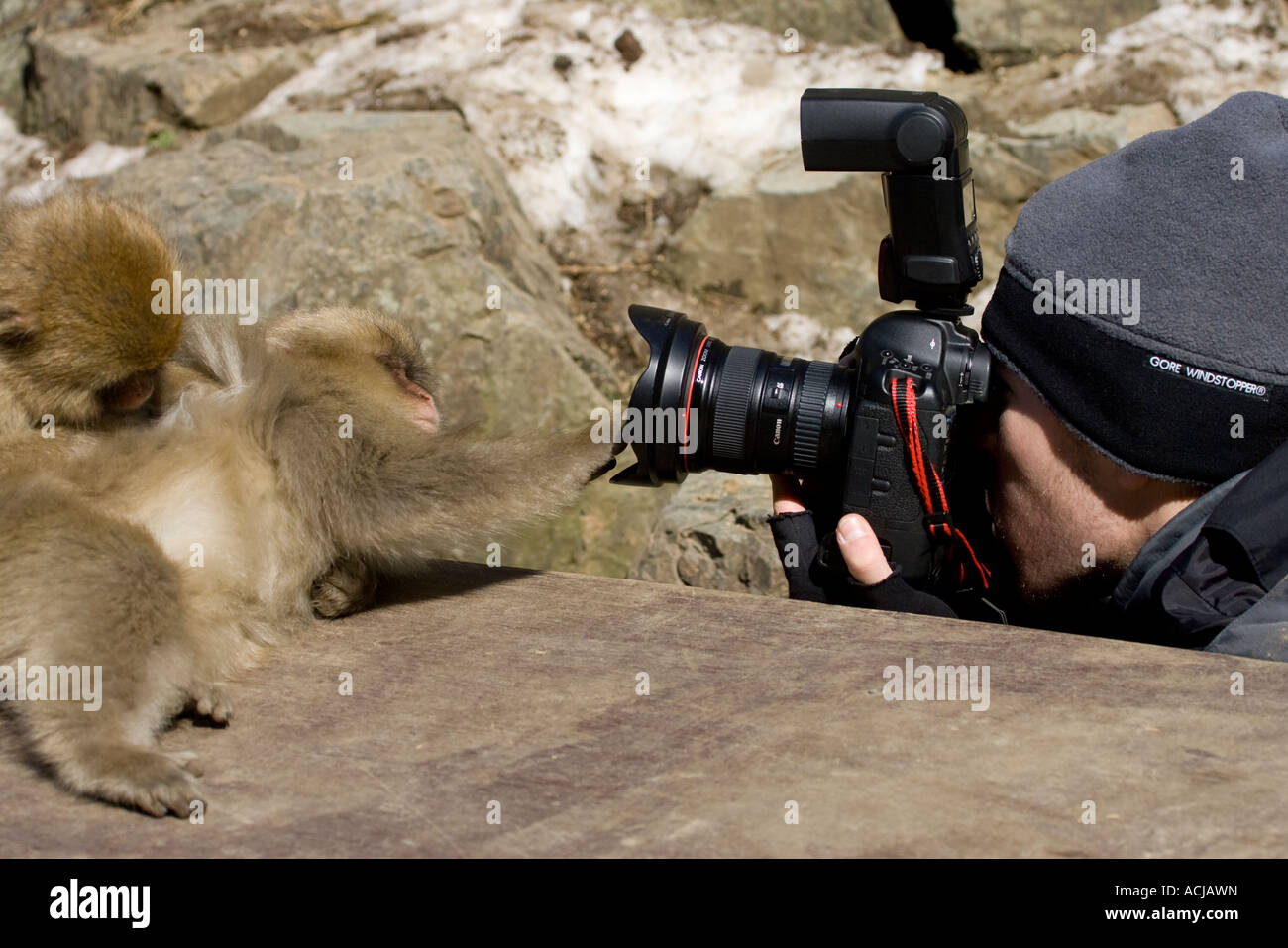 Wildlife touching camera hi-res stock photography and images - Alamy