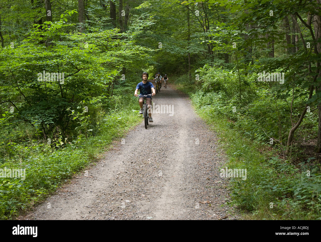 Bicycle riders on a path Stock Photo - Alamy