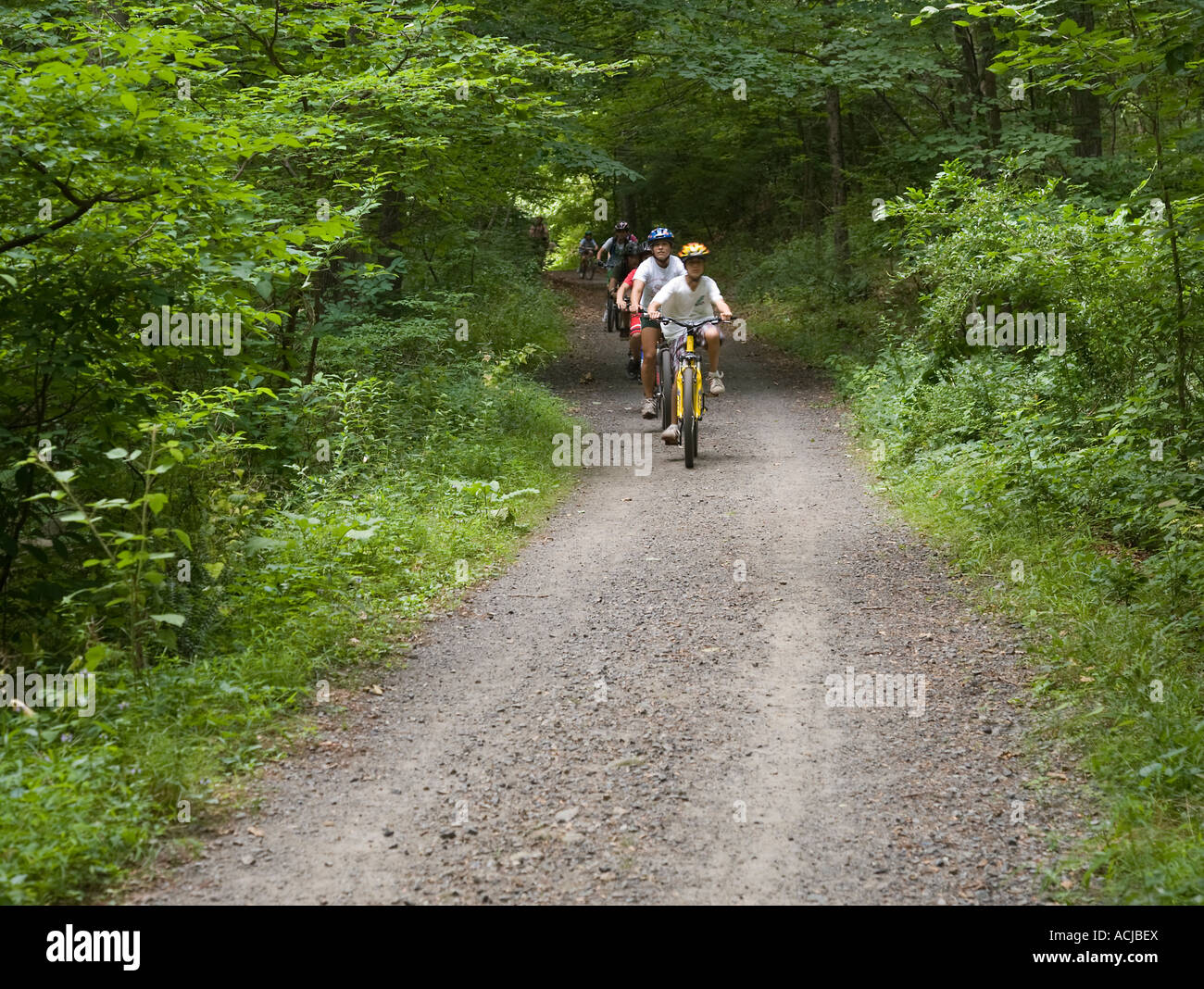 Bicycle riders on a path Stock Photo - Alamy
