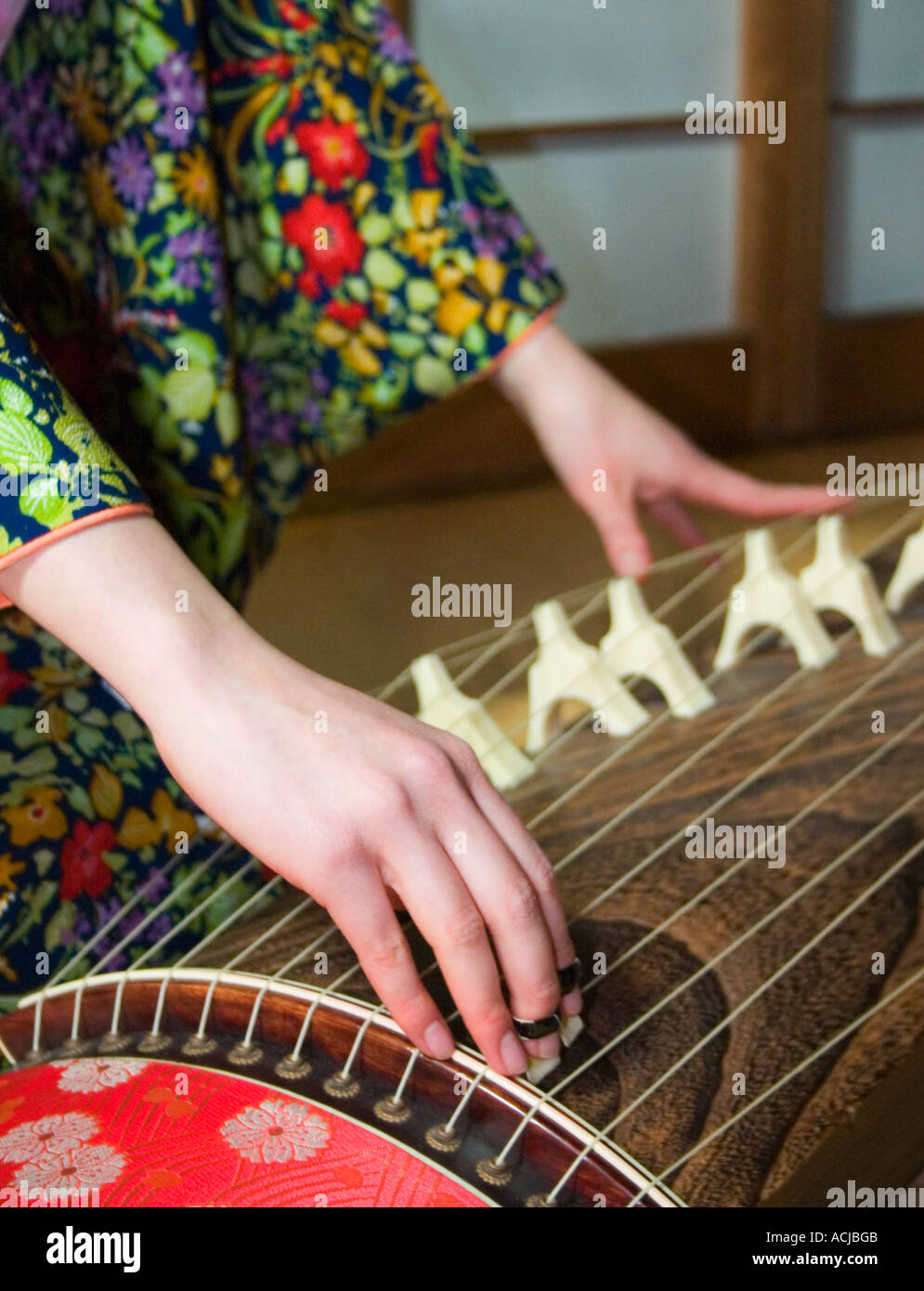 Koto instrument hi-res stock photography and images - Alamy
