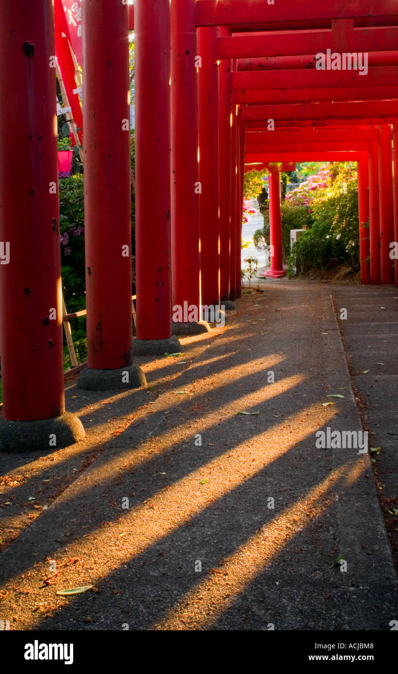 Torii gates at a Japanese Shinto Shrine Stock Photo - Alamy