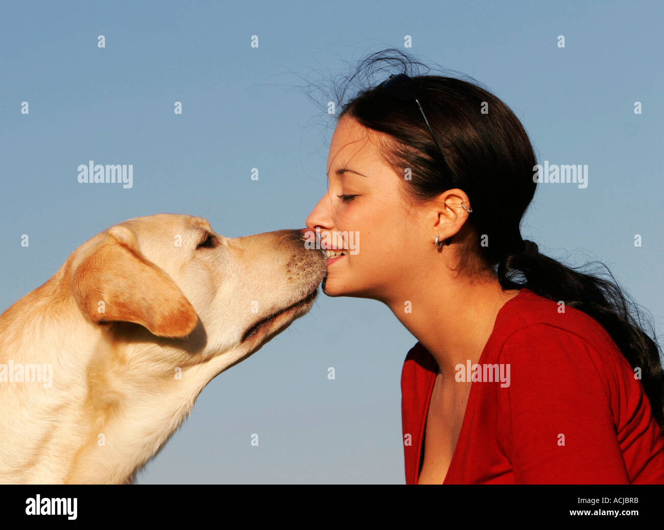 Portrait woman kissing labrador hi-res stock photography and images - Alamy