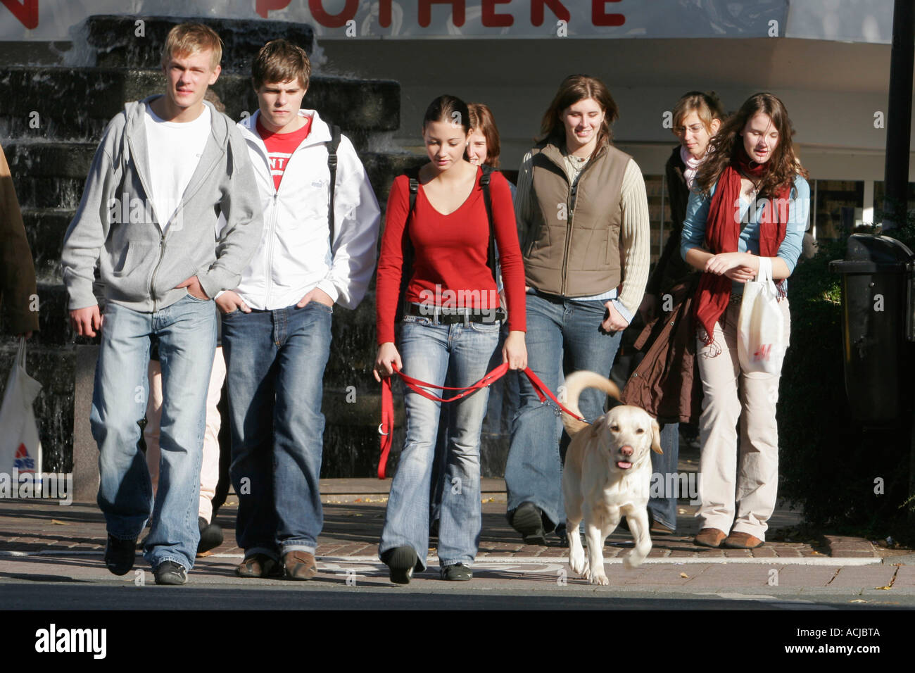 People and Labrador Retriever Stock Photo - Alamy