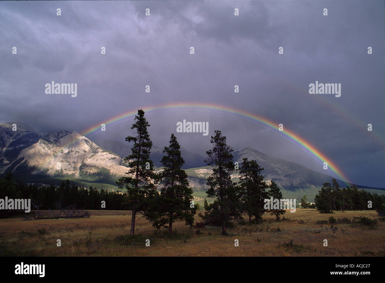 Miette range hi-res stock photography and images - Alamy