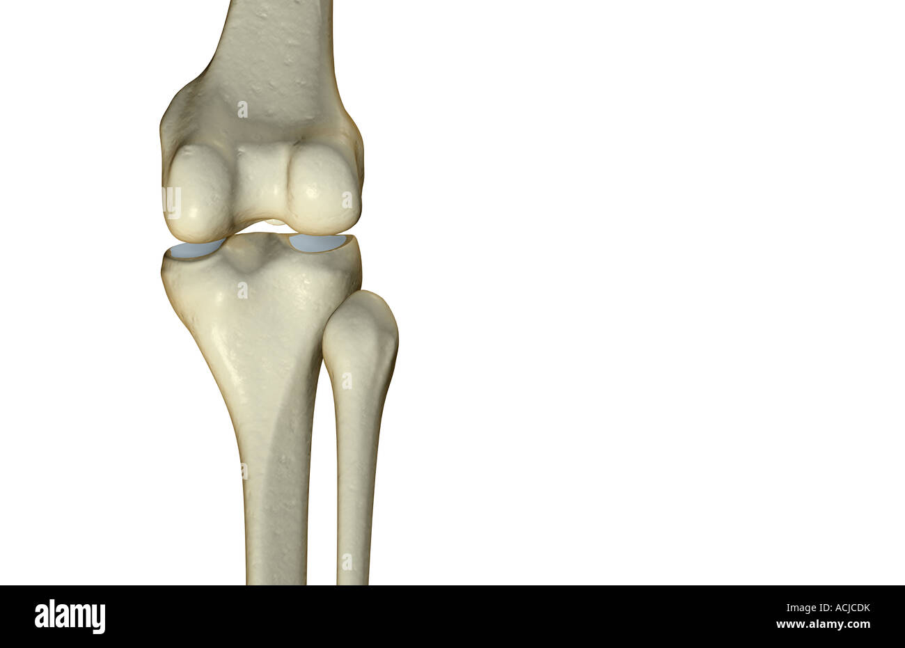 Medial Epicondyle High Resolution Stock Photography and Images - Alamy