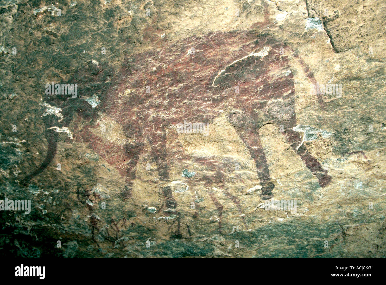 San bushman cave art hunters hi-res stock photography and images - Alamy