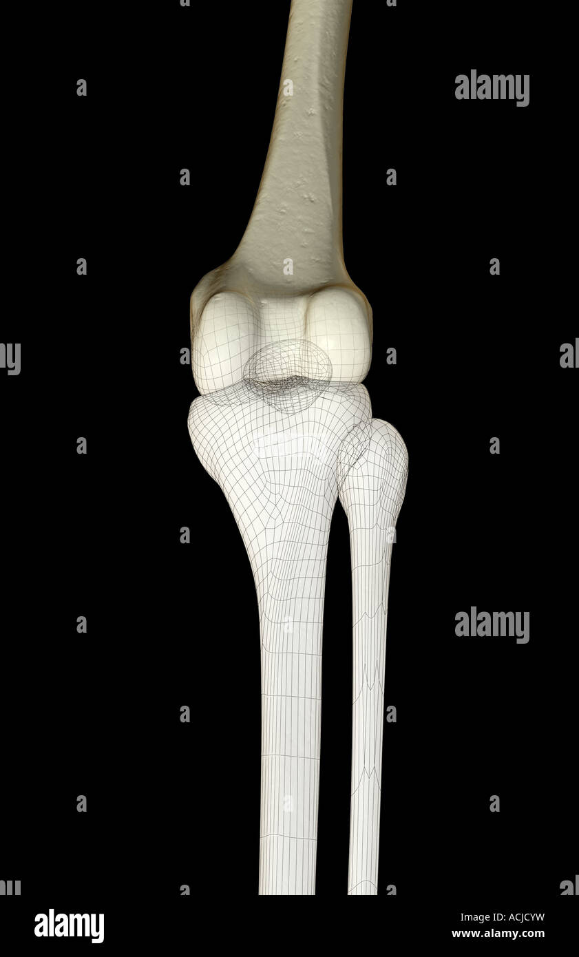Medial Epicondyle High Resolution Stock Photography and Images - Alamy