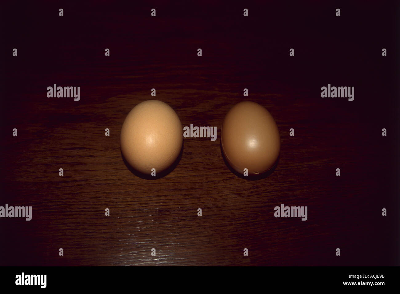 Egg joke hi-res stock photography and images - Alamy