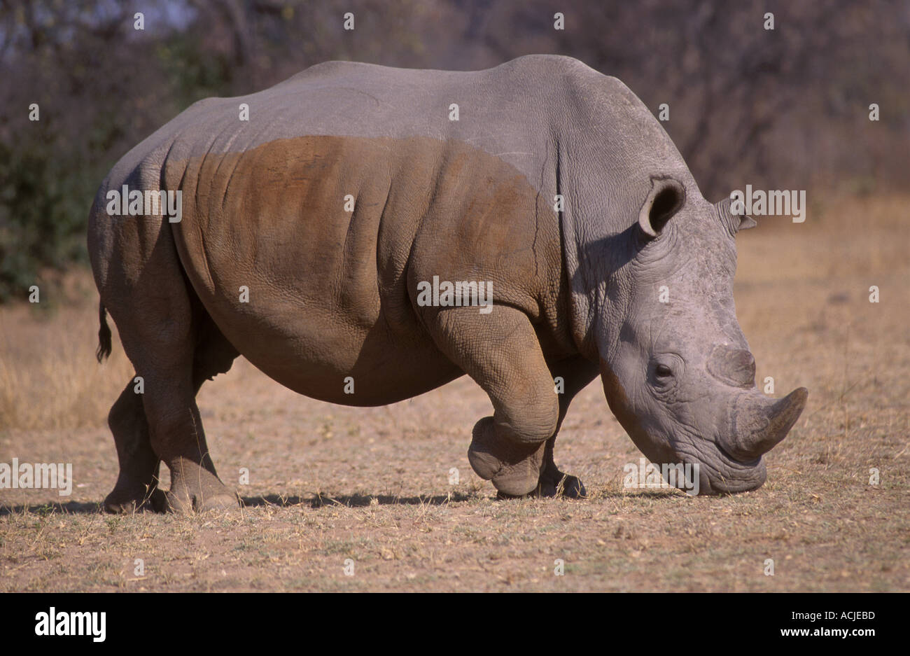 Matobo np, zimbabwe hi-res stock photography and images - Alamy