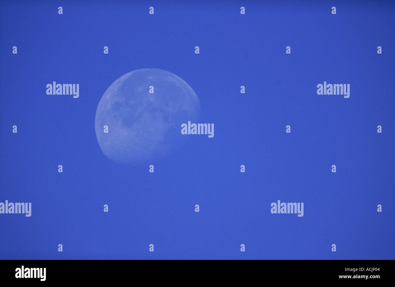 Moon in blue sky Alicante Spain Stock Photo - Alamy