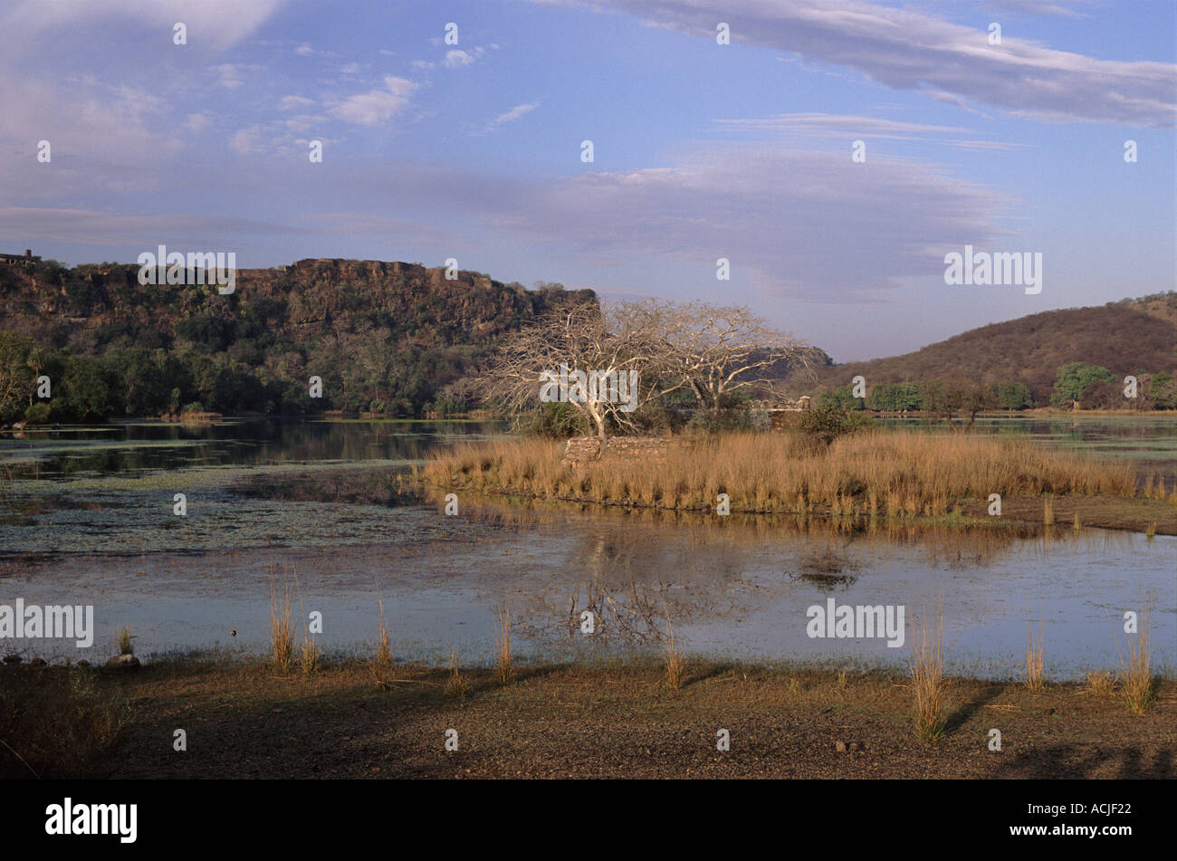 Padam Talao the first lake with Ranthambore fort in distance ...