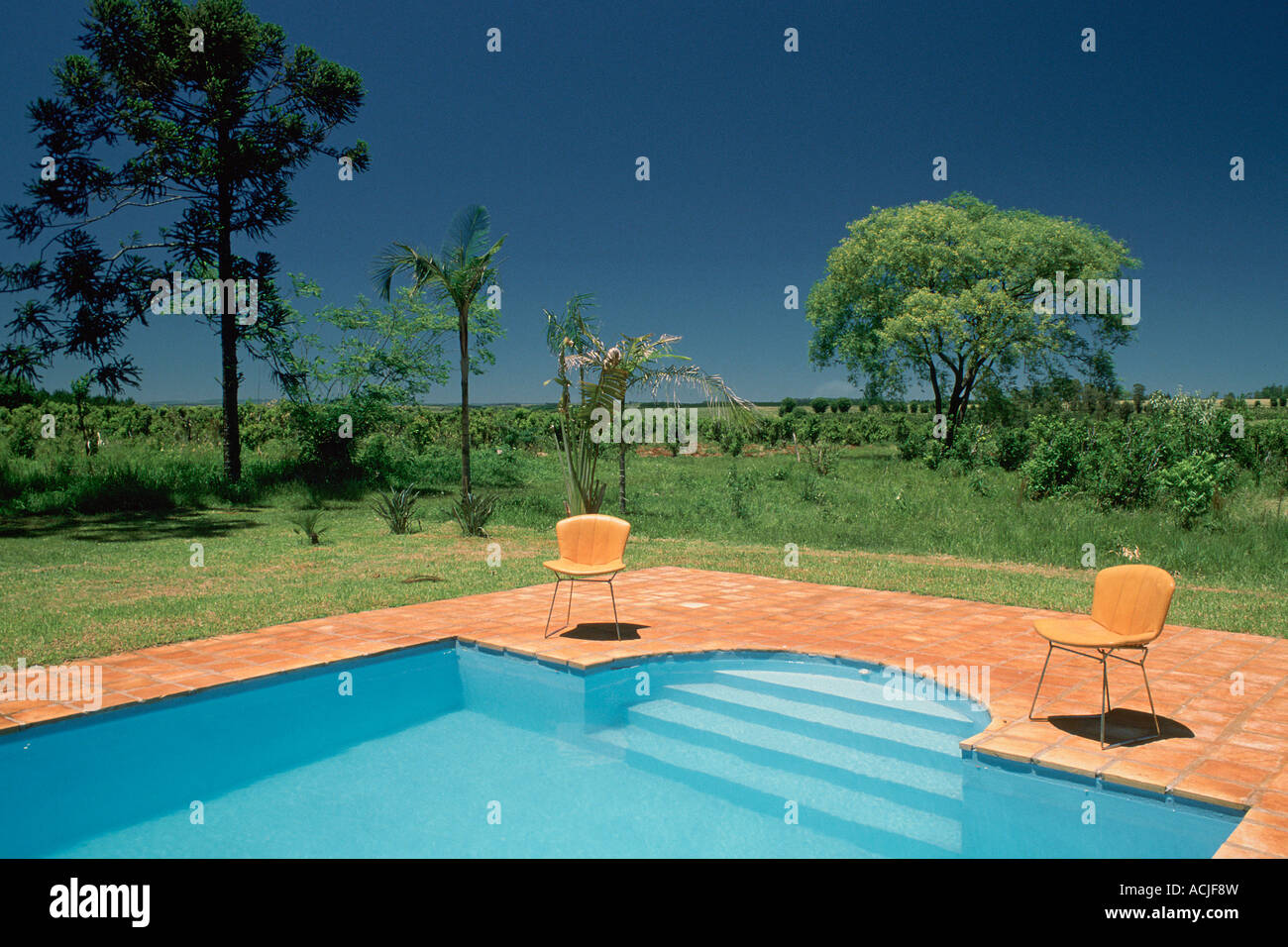 Argentina swimming pool trees blue sky Stock Photo - Alamy