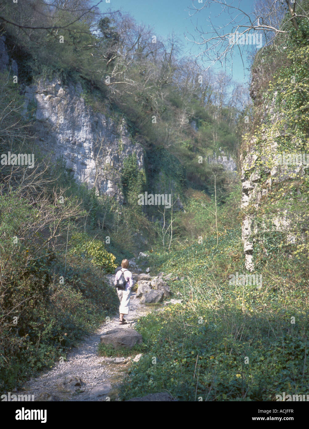 Ebbor gorge hi-res stock photography and images - Alamy