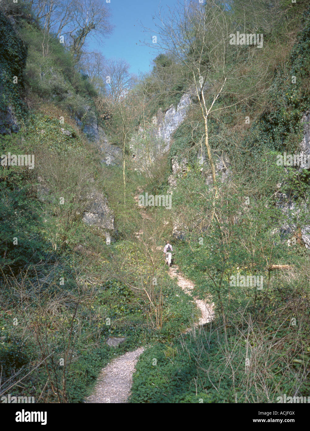 Ebbor gorge hi-res stock photography and images - Alamy