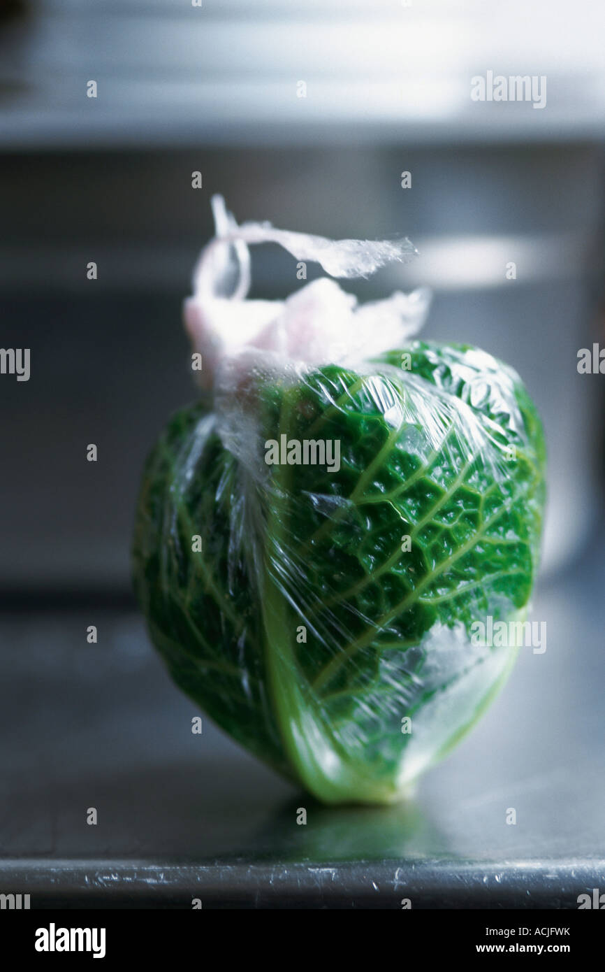 Cabbage rolled up in plastic bag Stock Photo - Alamy