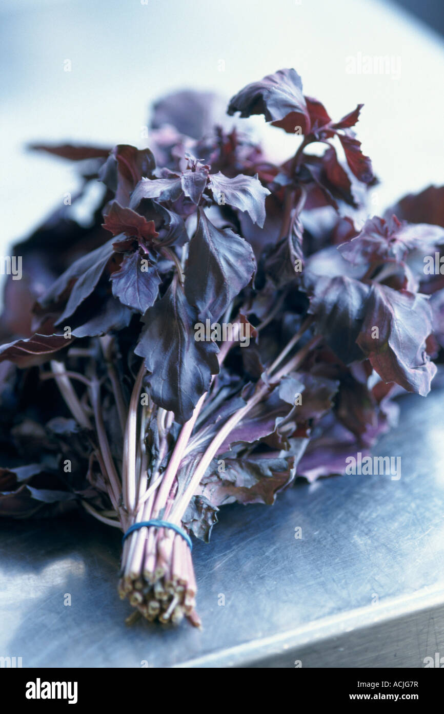 Black basil bunch attached together metalic background Stock Photo - Alamy