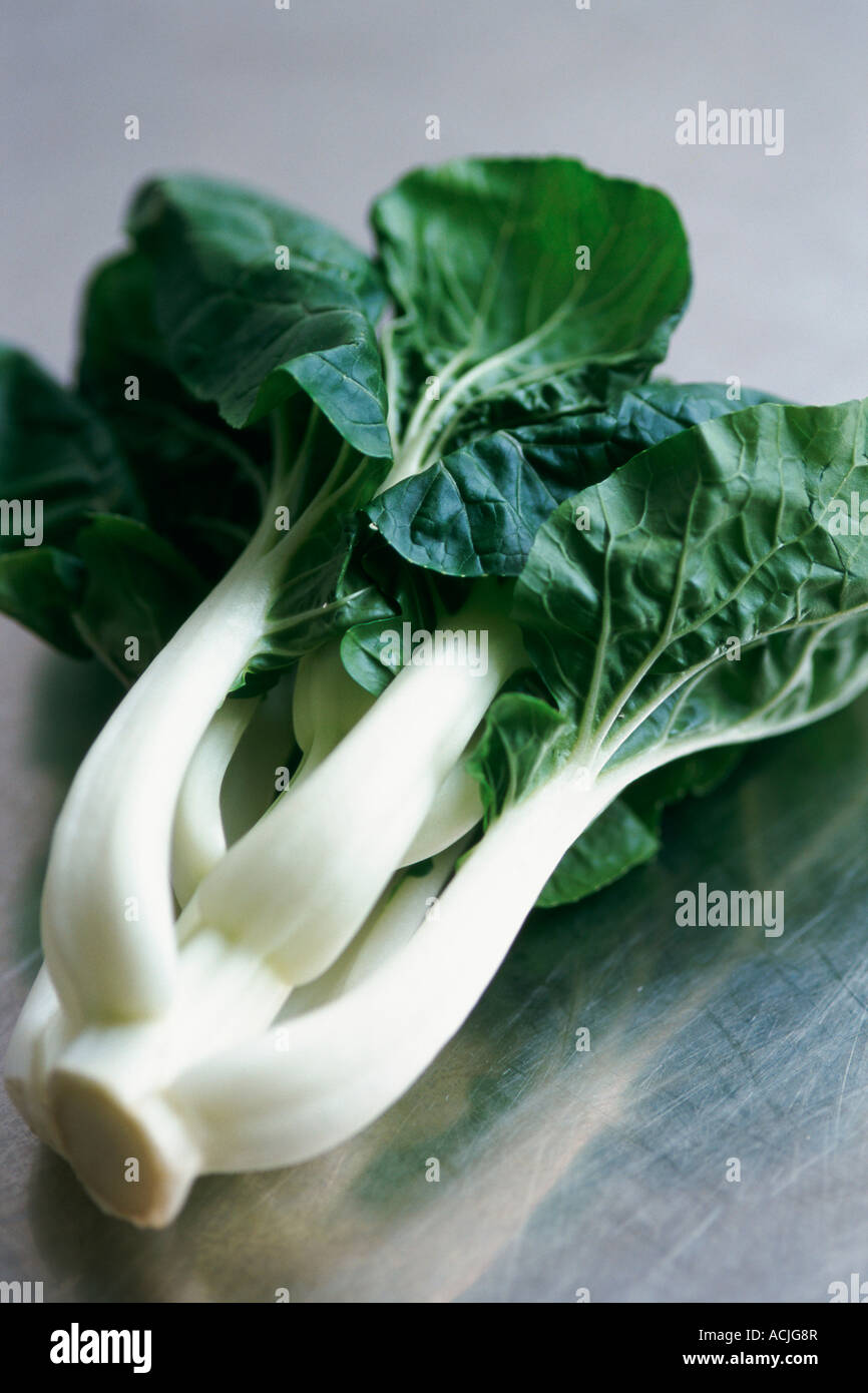 Chinese cabbage on metalic surface Stock Photo - Alamy