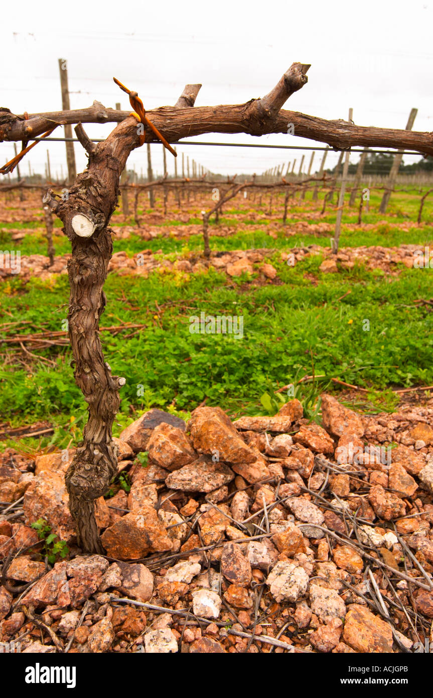 Cordon Royat High Resolution Stock Photography and Images - Alamy