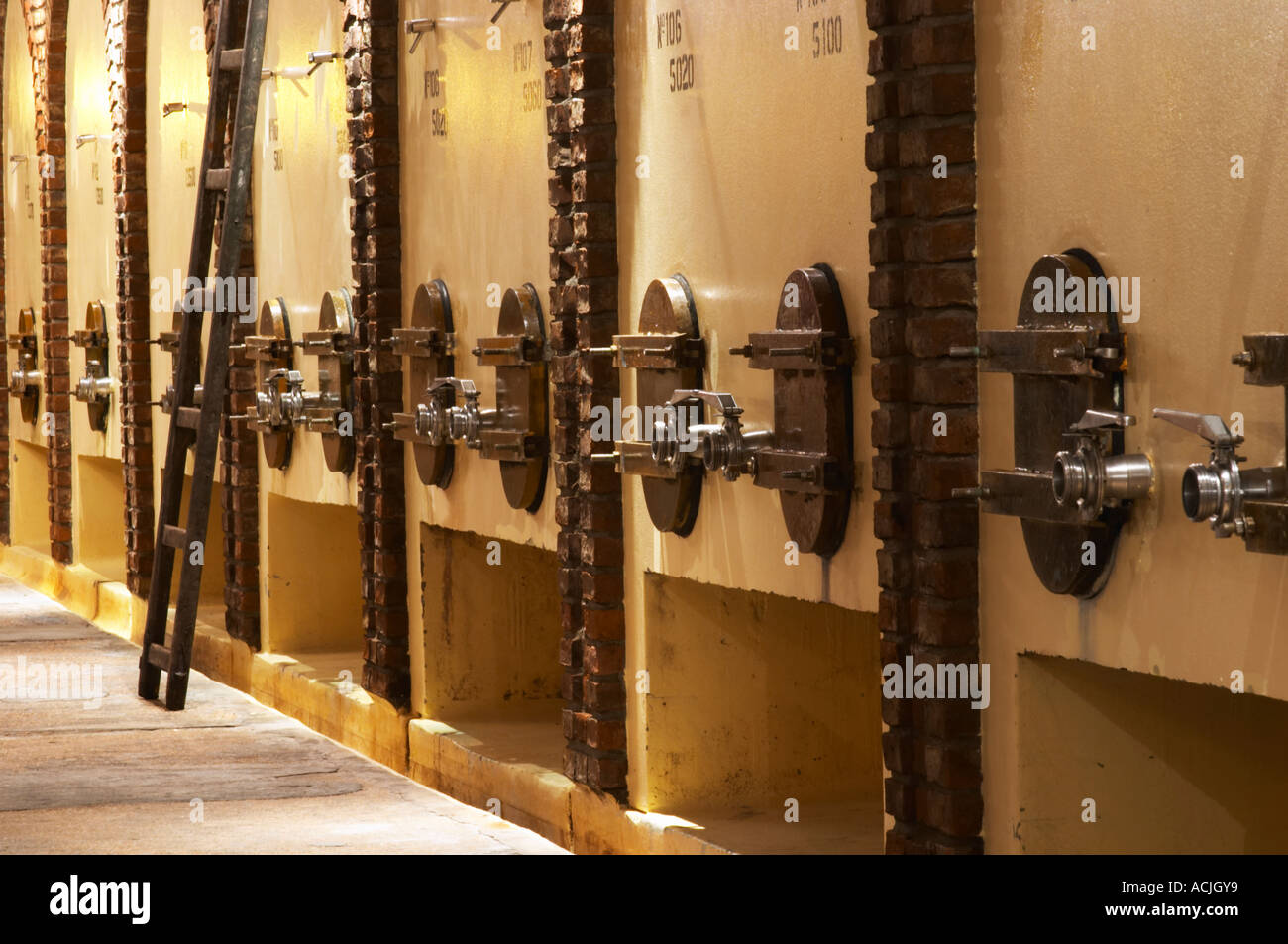 Concrete fermentation tanks and a ladder, Bodega Castillo Viejo Winery ...