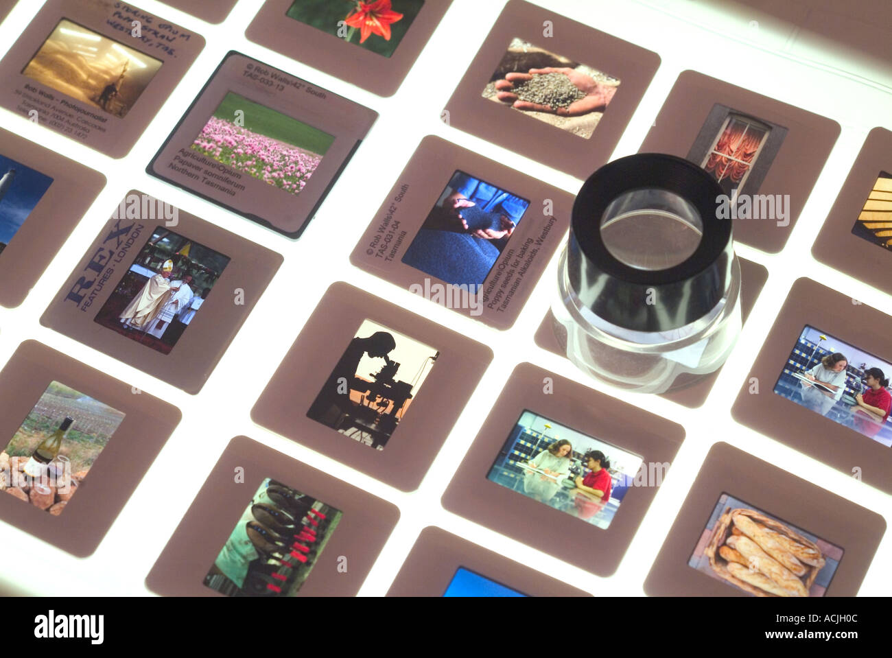 35mm transparencies on lightbox Stock Photo - Alamy