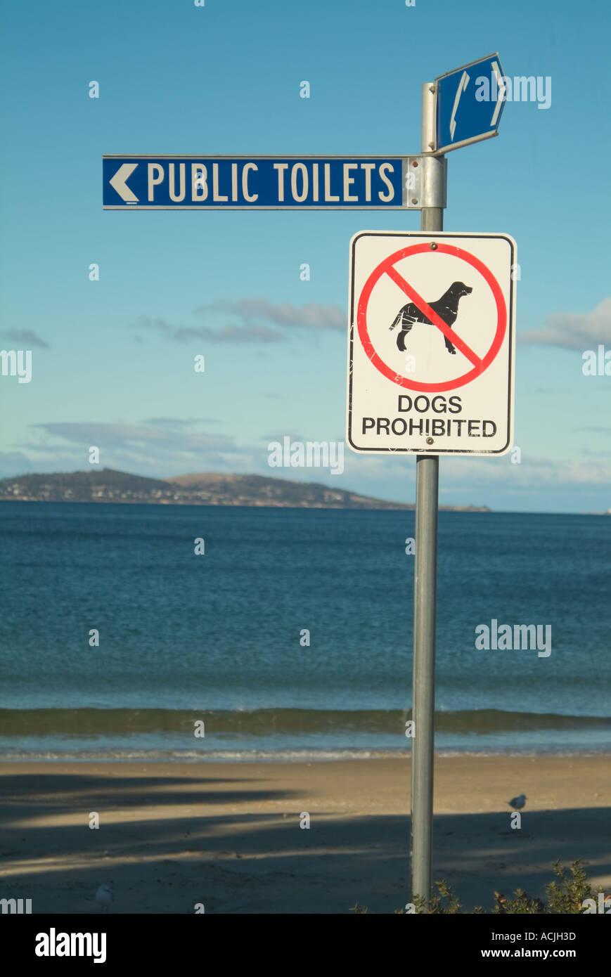Dogs prohibited sign at Australian beach Stock Photo - Alamy