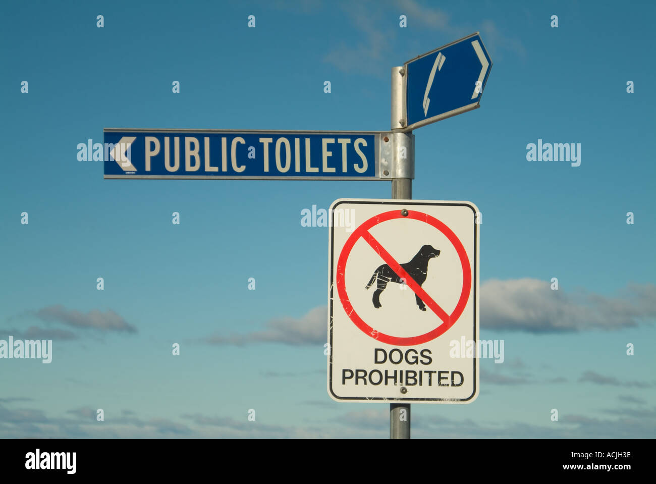Dogs prohibited sign at Australian beach Stock Photo - Alamy