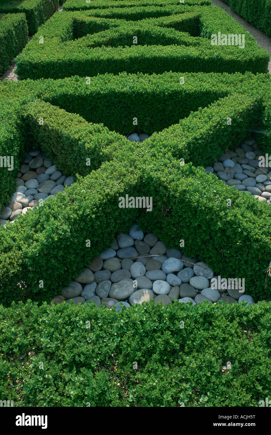 French garden close-up on cropped hedge box gravels Stock Photo - Alamy